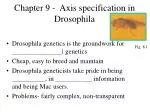 PPT - Drosophila anterior-posterior axis formation during early ...