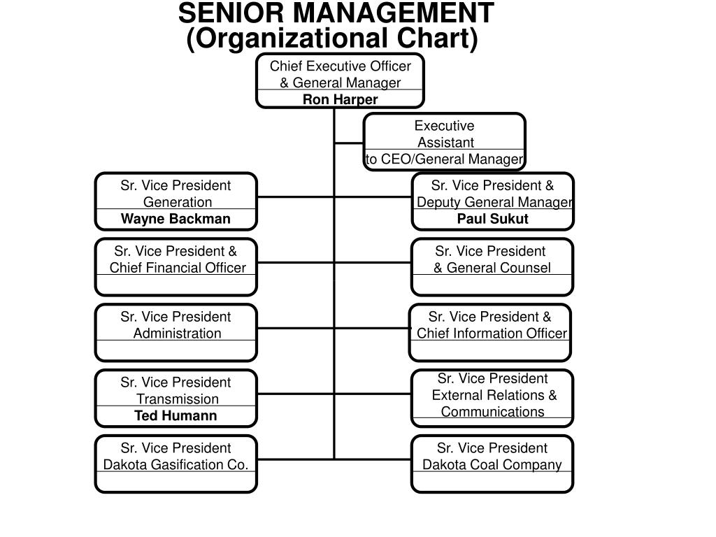 PPT - SENIOR MANAGEMENT (Organizational Chart) PowerPoint Presentation ...