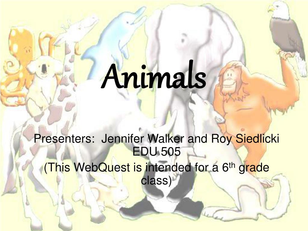 PPT - Animals PowerPoint Presentation, free download - ID:3808737