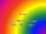 PPT - Turkey fireball PowerPoint Presentation, free download - ID:7445903