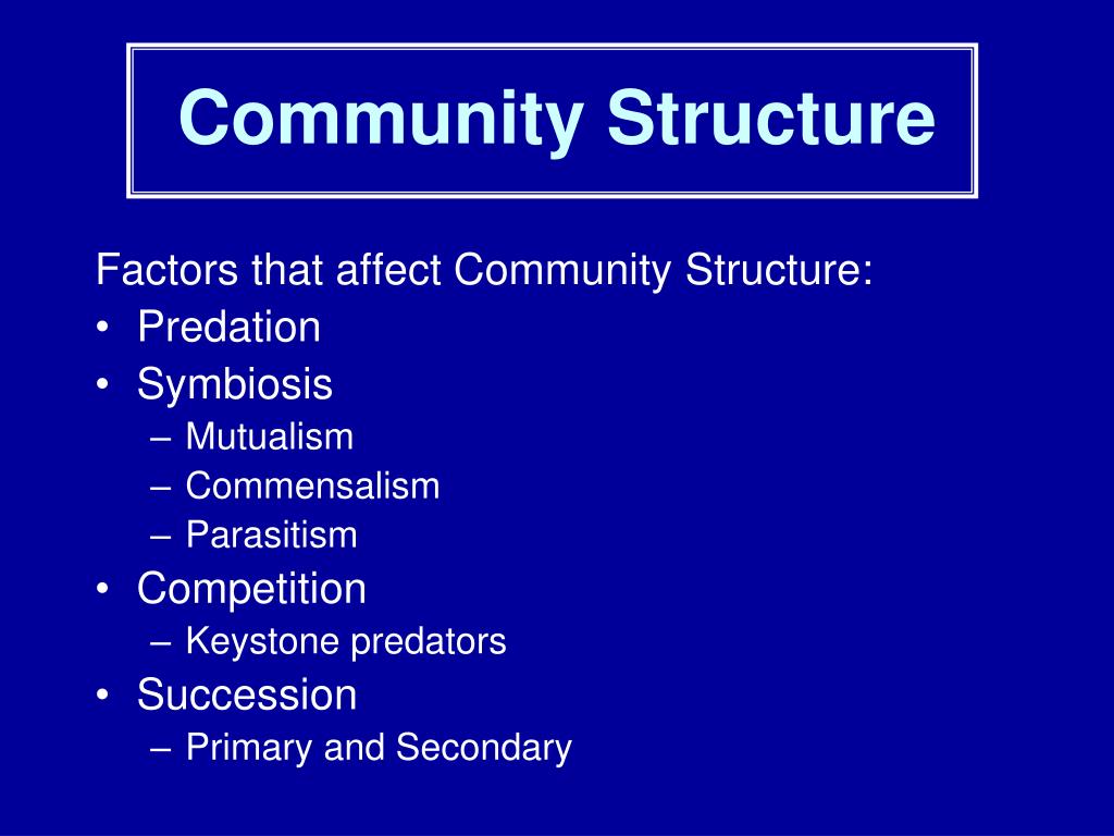 PPT - Community Structure PowerPoint Presentation, free download - ID ...