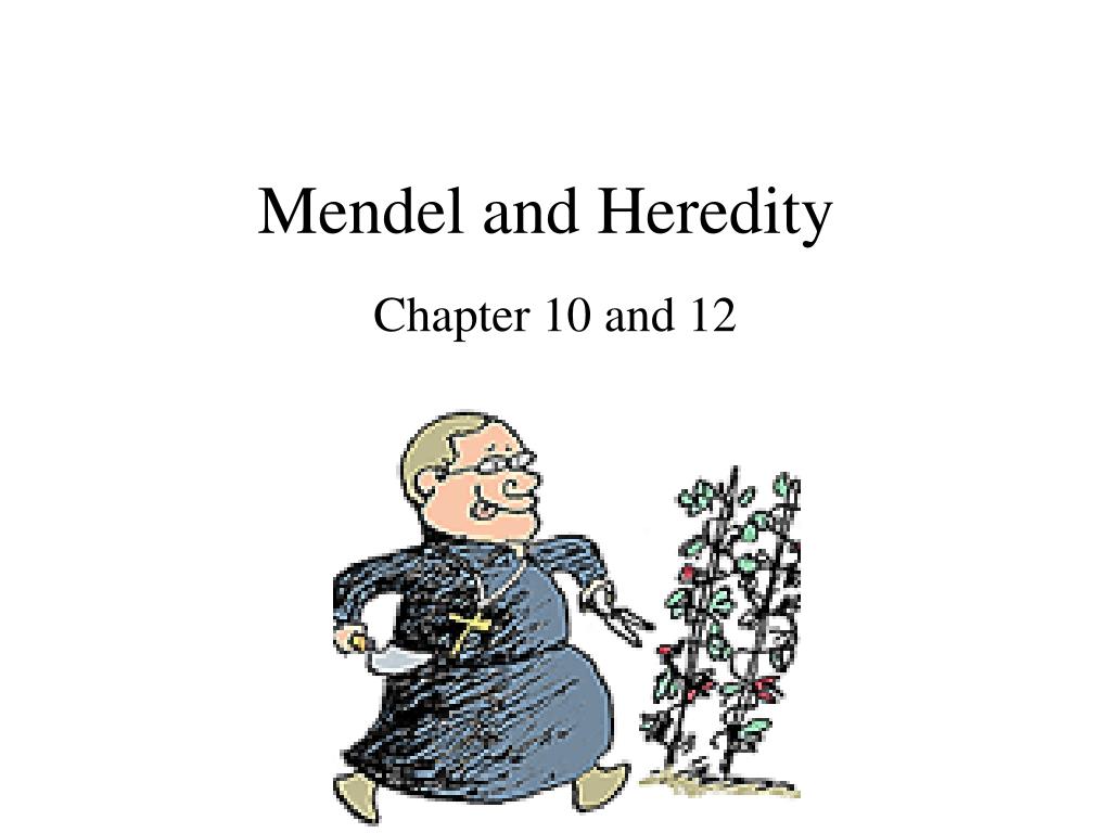 PPT - Mendel and Heredity PowerPoint Presentation, free download - ID ...