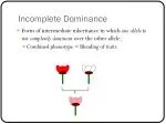 PPT - Incomplete Dominance PowerPoint Presentation, free download - ID ...