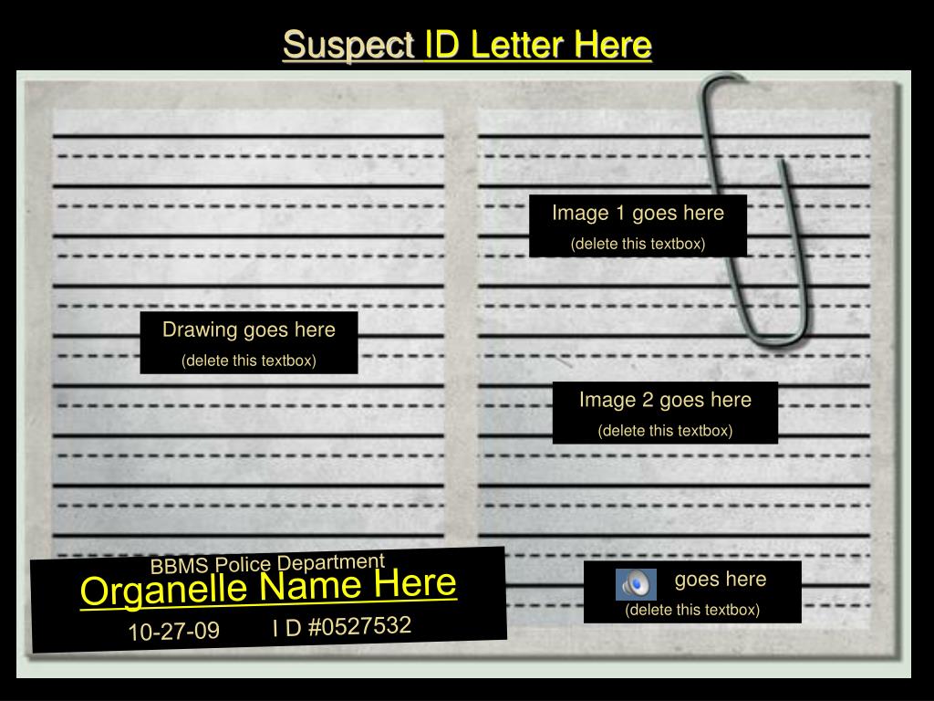 PPT - Suspect ID Letter Here PowerPoint Presentation, free download ...