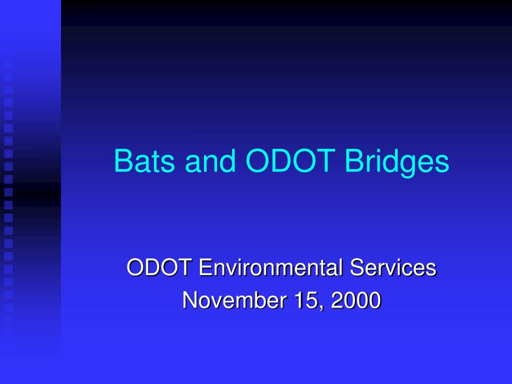 PPT - Bats and ODOT Bridges PowerPoint Presentation, free download - ID ...