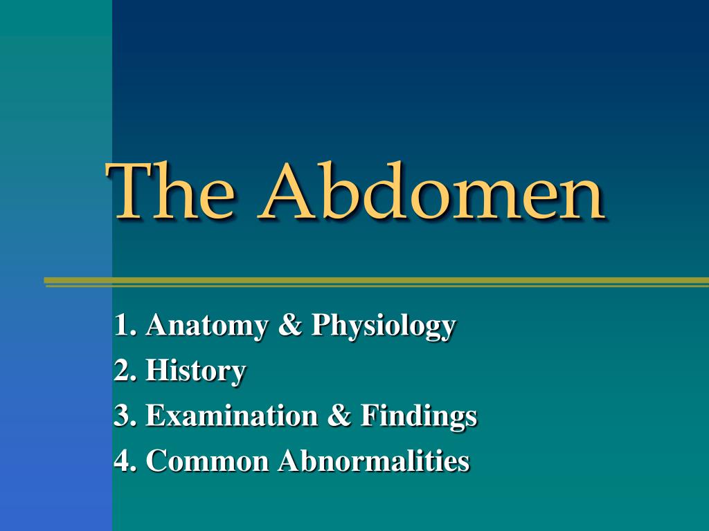 PPT - The Abdomen PowerPoint Presentation, free download - ID:3824131