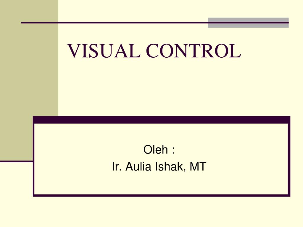 PPT - VISUAL CONTROL PowerPoint Presentation, free download - ID:3825055