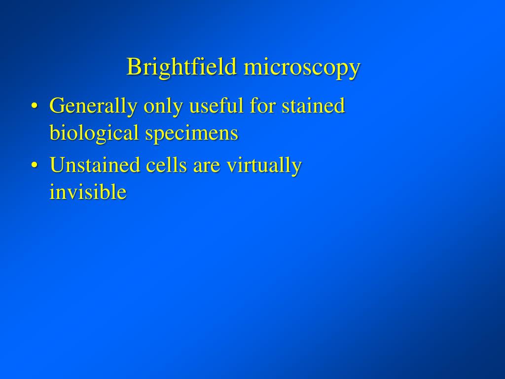 PPT - Brightfield microscopy PowerPoint Presentation, free download ...