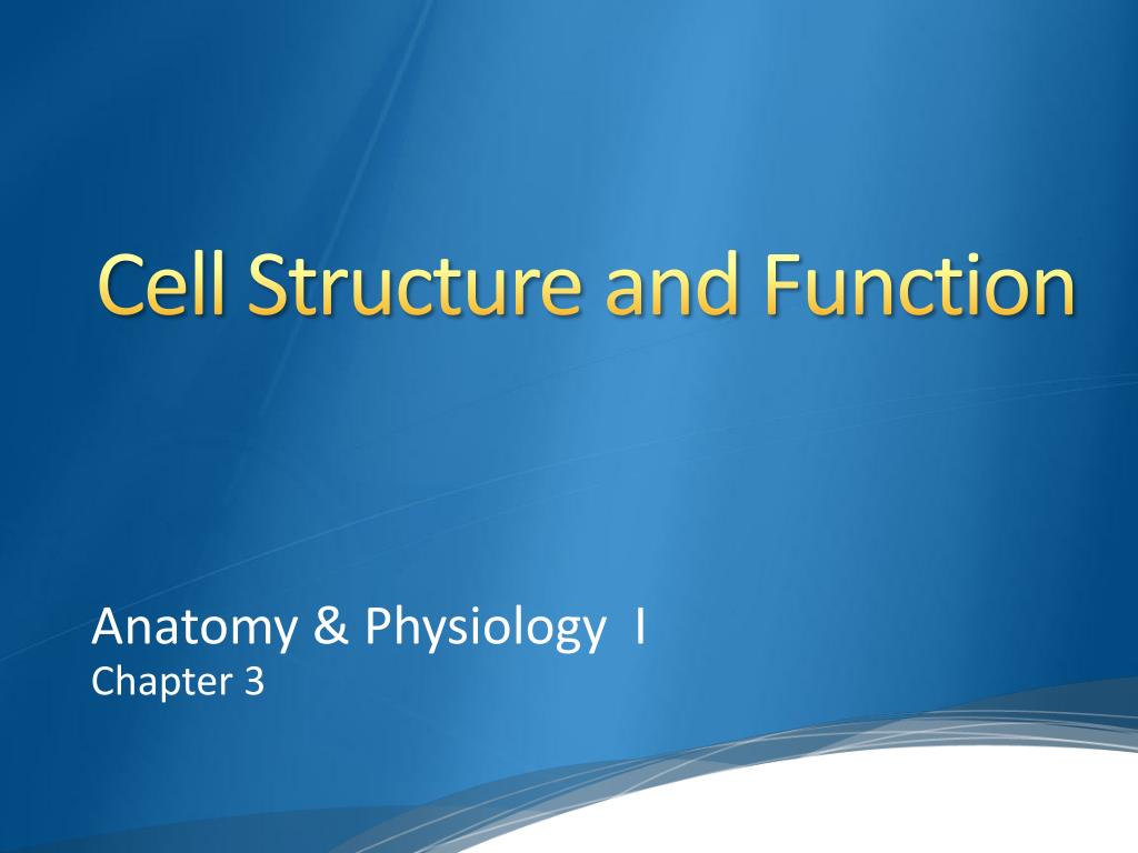PPT - Cell Structure and Function PowerPoint Presentation, free ...
