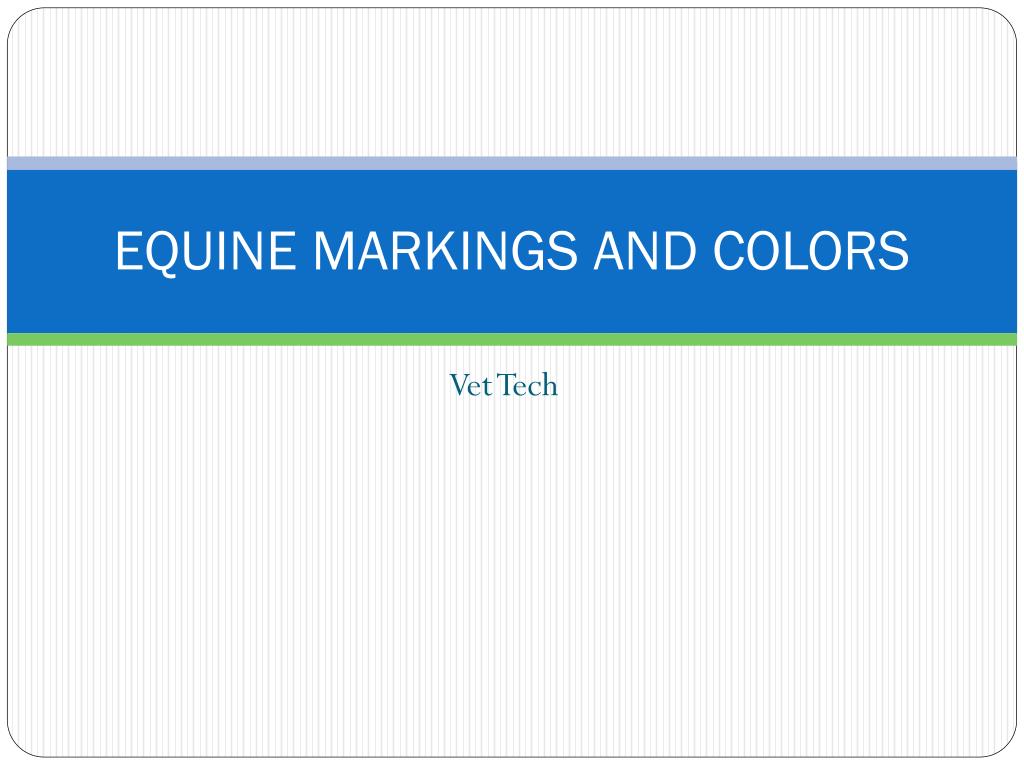 PPT - EQUINE MARKINGS AND COLORS PowerPoint Presentation, free download ...
