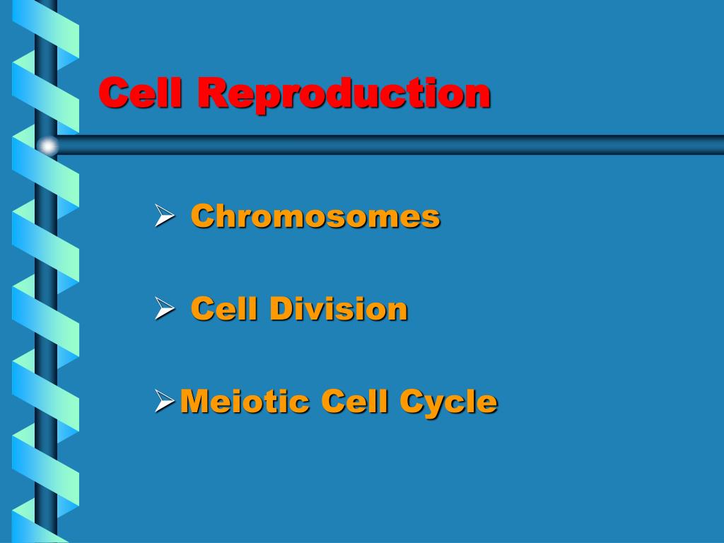 PPT - Cell Reproduction PowerPoint Presentation, free download - ID:3840564