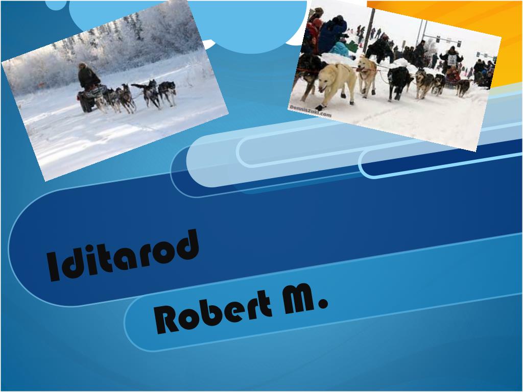 PPT - Iditarod PowerPoint Presentation, free download - ID:3842228