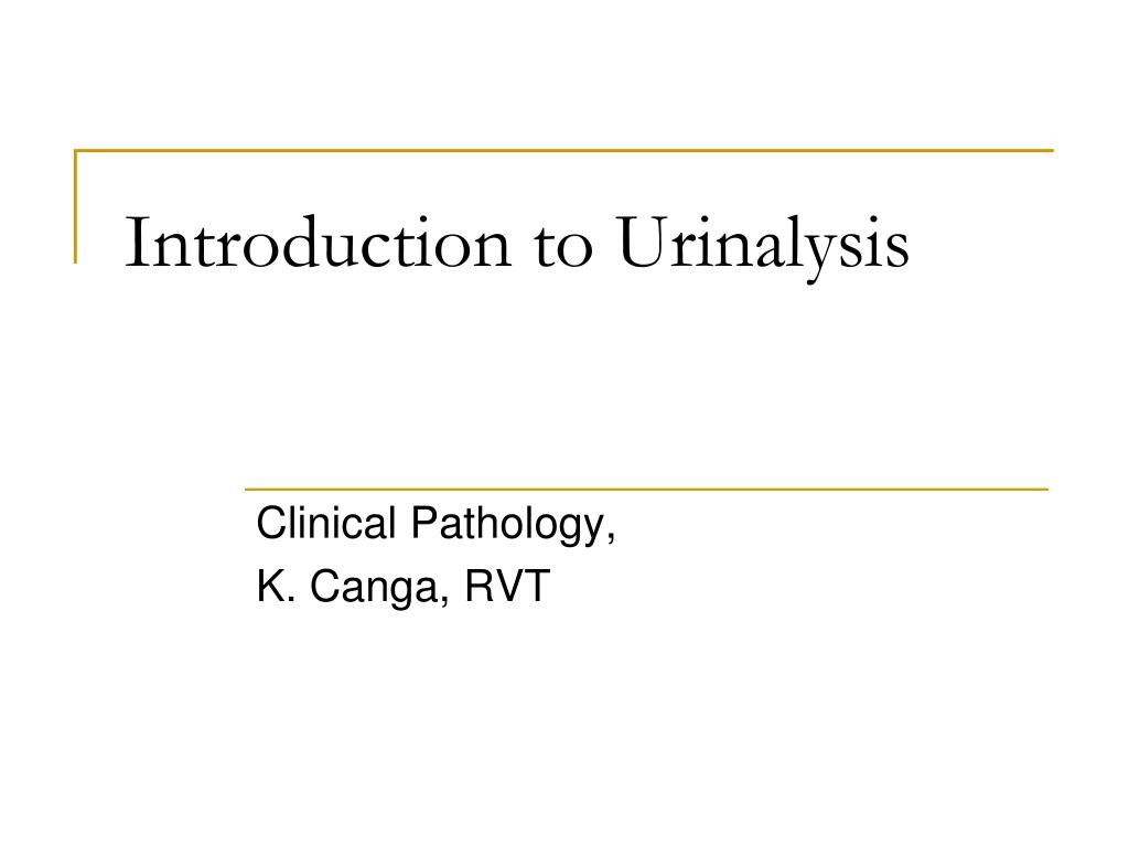 PPT - Introduction to Urinalysis PowerPoint Presentation, free download ...