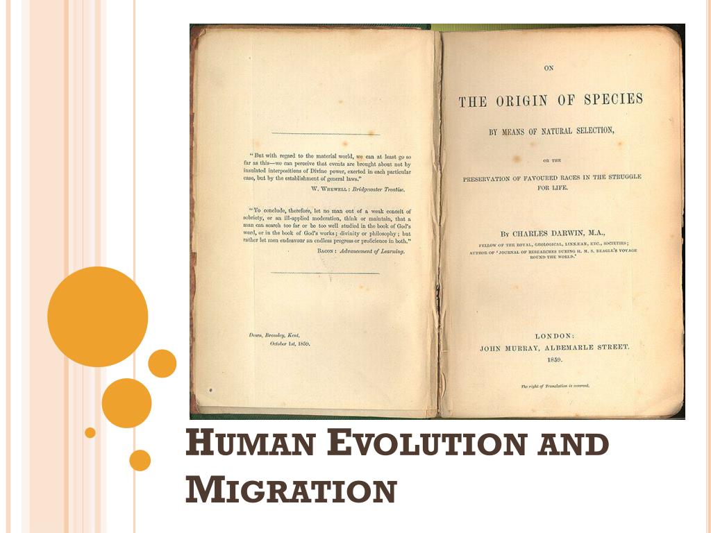 PPT - Human Evolution and Migration PowerPoint Presentation, free ...