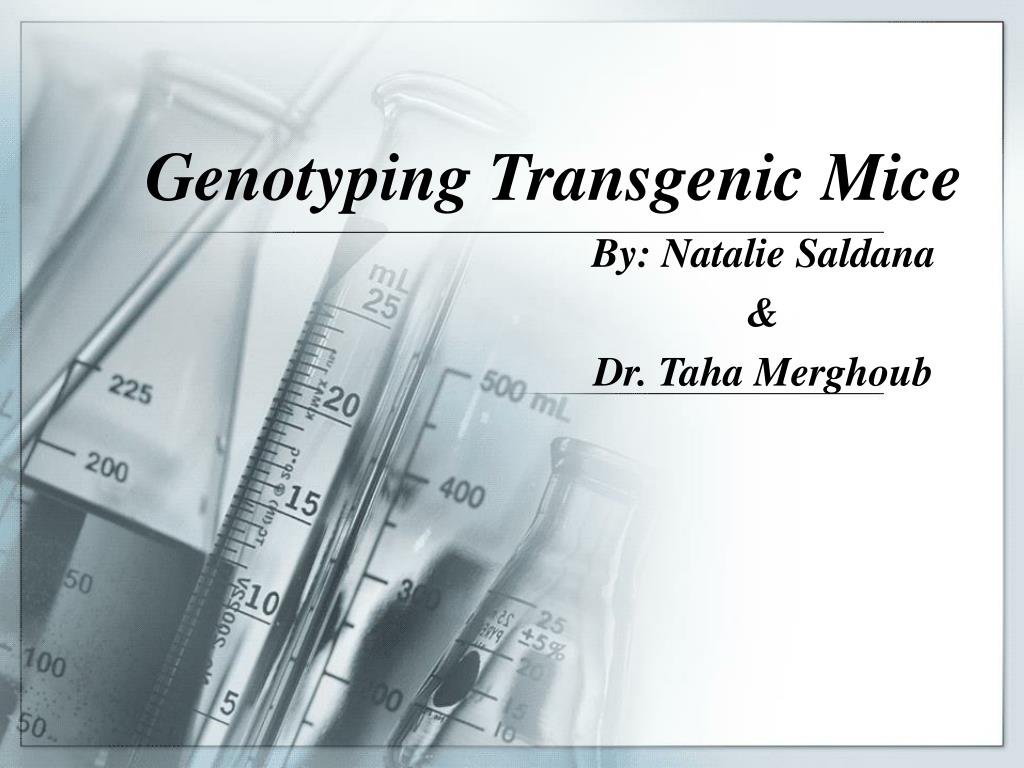PPT - Genotyping Transgenic Mice PowerPoint Presentation, free download ...