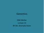 PPT - Genomics PowerPoint Presentation, free download - ID:9391825