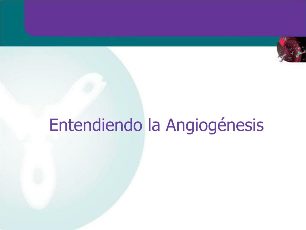 PPT - Entendiendo la Angiogénesis PowerPoint Presentation, free ...