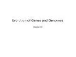 PPT - Chapter 20 Evolution of Genes and Traits PowerPoint Presentation ...