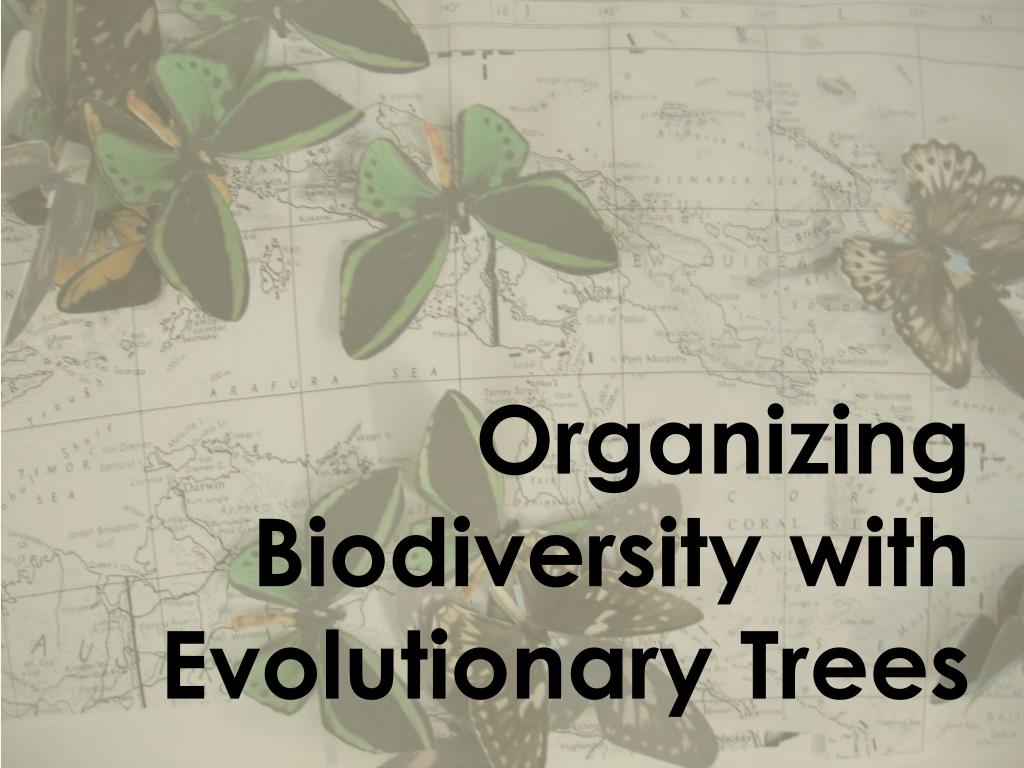 PPT - Organizing Biodiversity with Evolutionary Trees PowerPoint ...