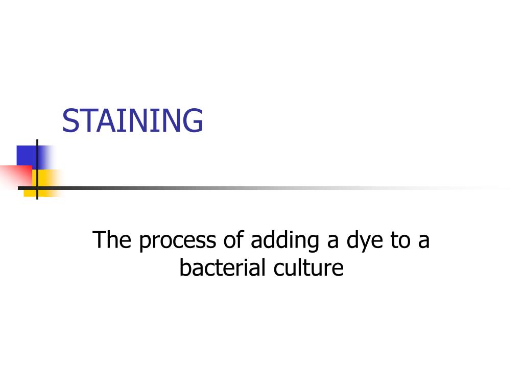 PPT - STAINING PowerPoint Presentation, free download - ID:3857095