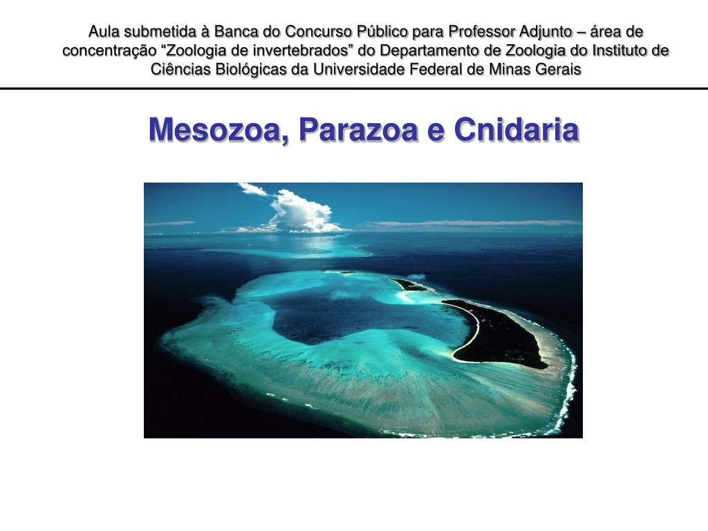 PPT - Mesozoa, Parazoa e Cnidaria PowerPoint Presentation, free ...