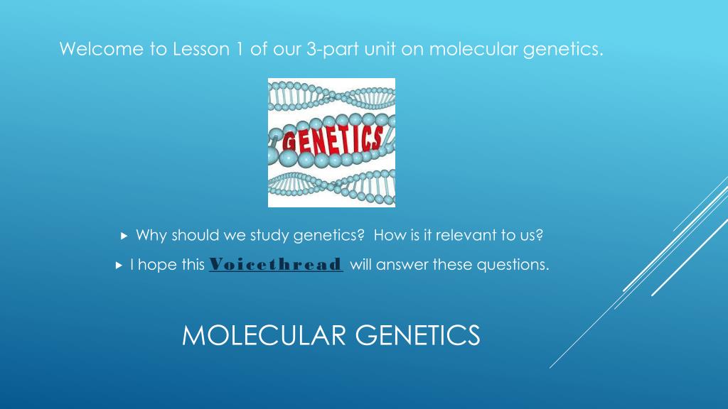 PPT - Molecular Genetics PowerPoint Presentation, free download - ID ...