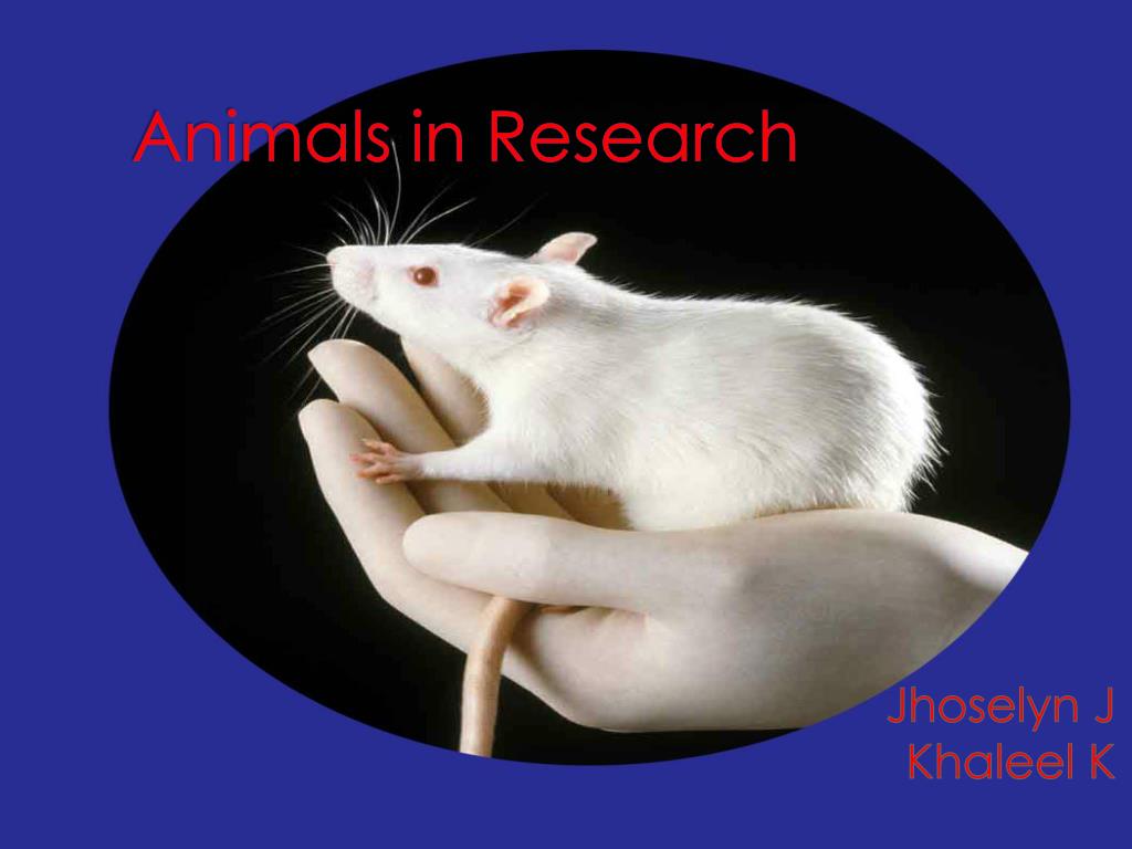 PPT - Animals in Research PowerPoint Presentation, free download - ID ...