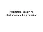 PPT - Lung Function PowerPoint Presentation, free download - ID:2459873