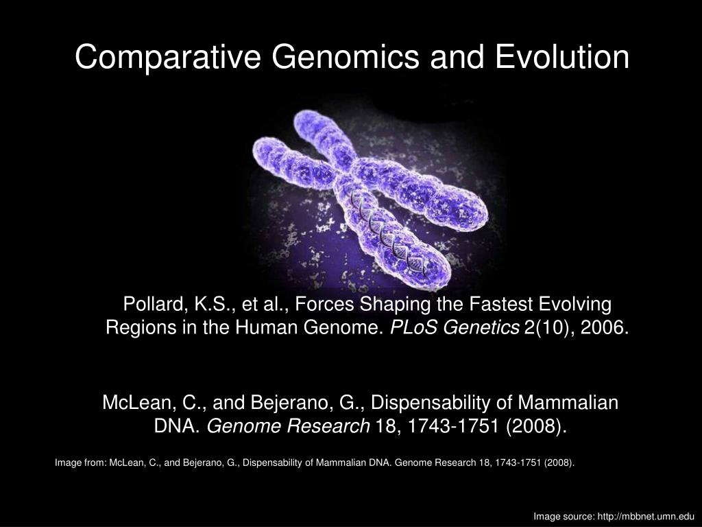 PPT - Comparative Genomics and Evolution PowerPoint Presentation, free ...