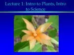 PPT - Intro to Landscaping PowerPoint Presentation, free download - ID ...