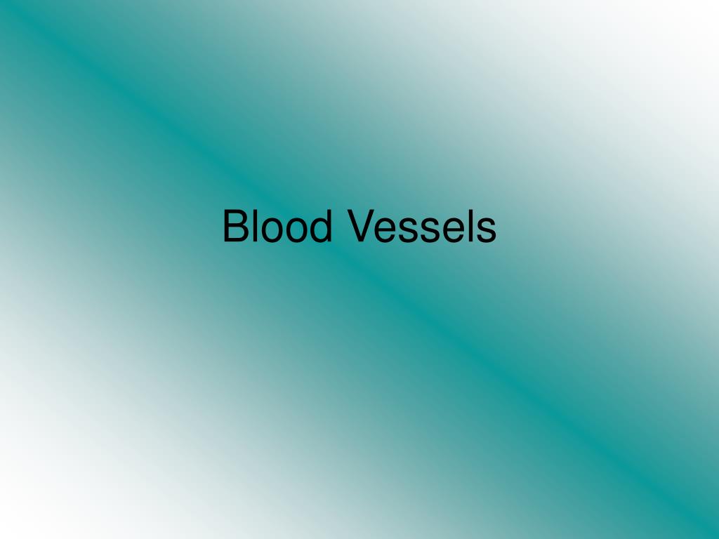 PPT - Blood Vessels PowerPoint Presentation, free download - ID:3873545
