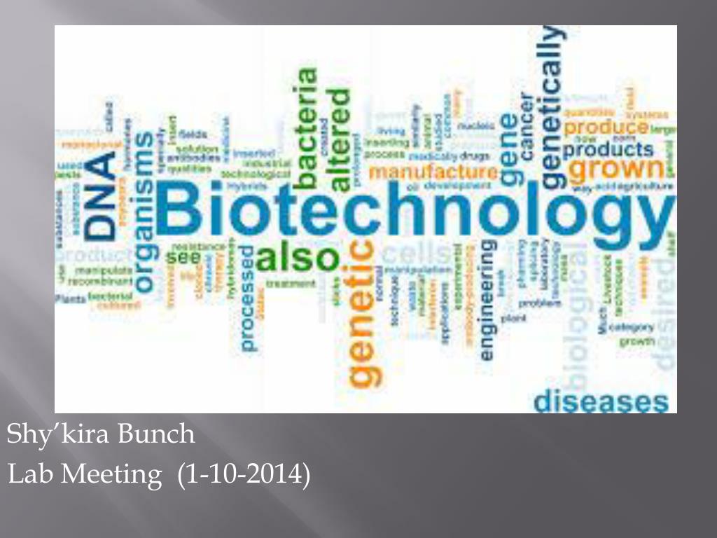 PPT - Lab Meeting PowerPoint Presentation, free download - ID:3876359
