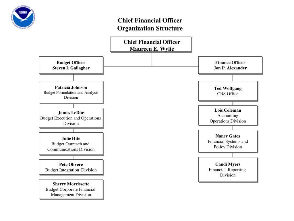 PPT - Chief Financial Officer Organization Structure PowerPoint ...