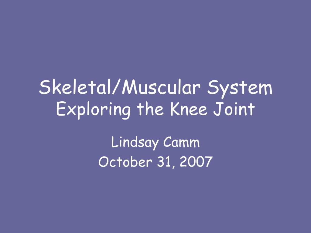 PPT - Skeletal/Muscular System Exploring the Knee Joint PowerPoint ...