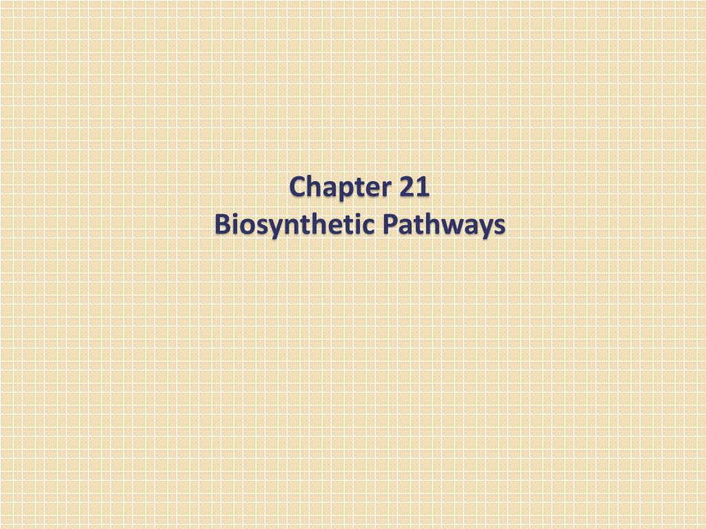 PPT - Chapter 21 Biosynthetic Pathways PowerPoint Presentation, free ...