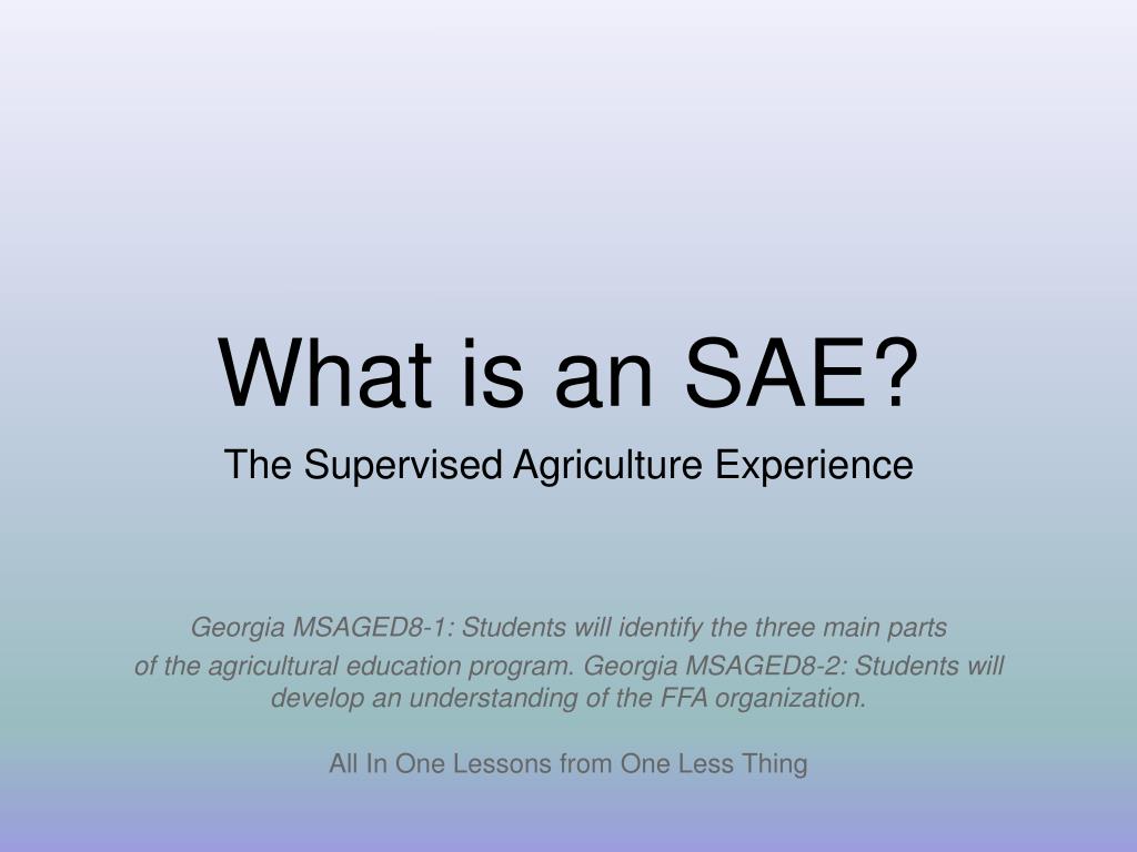 PPT - What is an SAE? PowerPoint Presentation, free download - ID:3883892