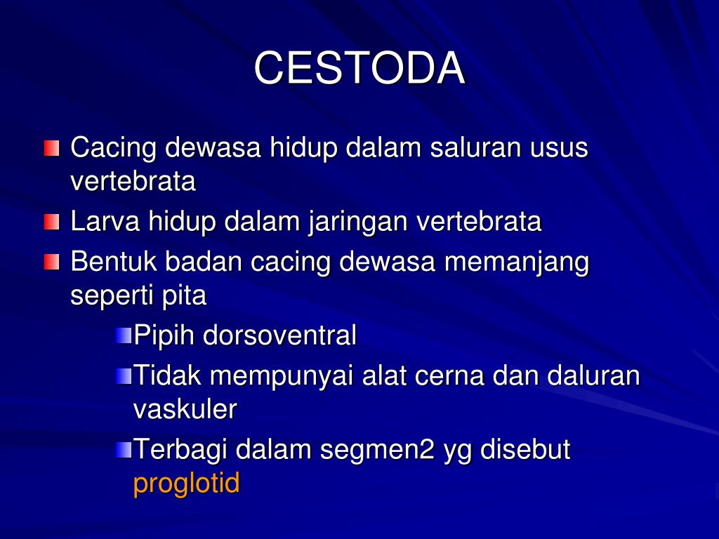 PPT - CESTODA PowerPoint Presentation, free download - ID:3886119