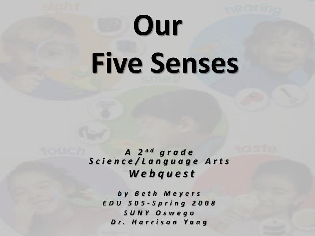 PPT - Our Five Senses PowerPoint Presentation, free download - ID:3886615