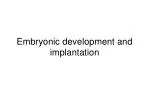 PPT - Embryonic Development PowerPoint Presentation, free download - ID ...