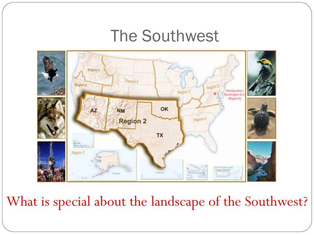 PPT - The Southwest PowerPoint Presentation, free download - ID:3896003