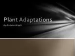 PPT - Plant Adaptations PowerPoint Presentation, free download - ID:6899917
