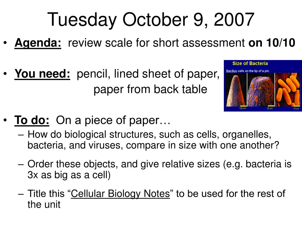 PPT - Tuesday October 9, 2007 PowerPoint Presentation, free download ...
