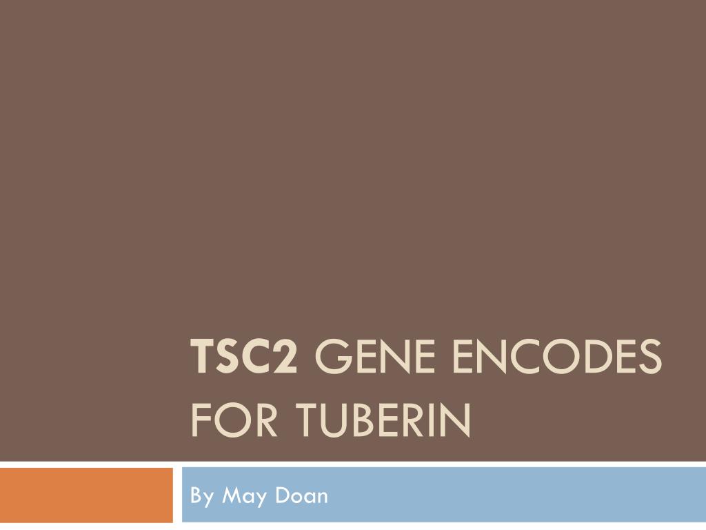 PPT - TSC2 GENE ENCODES FOR TUBERIN PowerPoint Presentation, free ...
