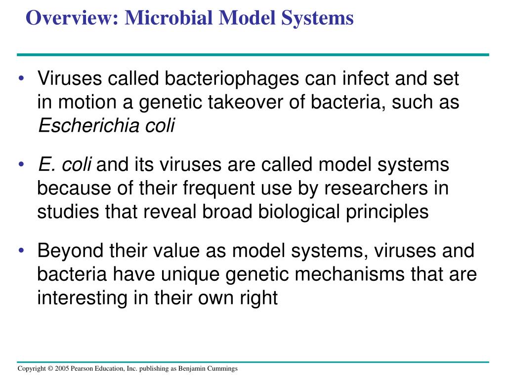 PPT - Exploring Microbial Model Systems: Bacteriophages and Viruses ...