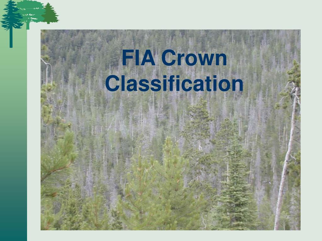 PPT - FIA Crown Classification PowerPoint Presentation, free download ...