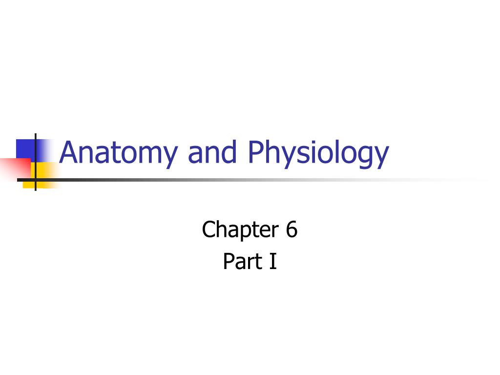 PPT - Anatomy and Physiology PowerPoint Presentation, free download ...