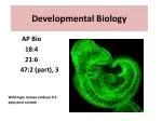 PPT - Developmental Biology PowerPoint Presentation, free download - ID ...