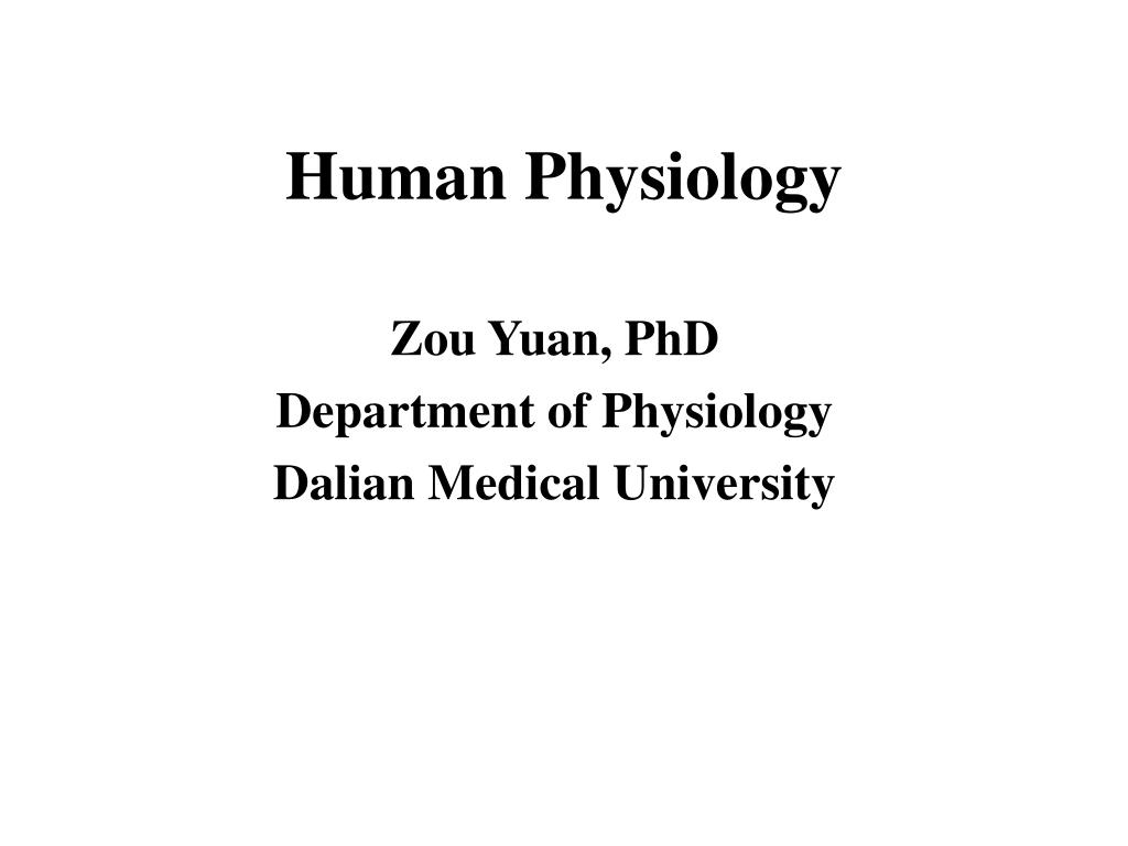 PPT - Human Physiology PowerPoint Presentation, free download - ID:3907051