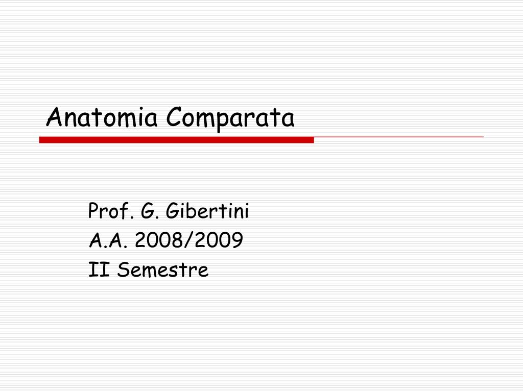 PPT - Anatomia Comparata PowerPoint Presentation, free download - ID ...