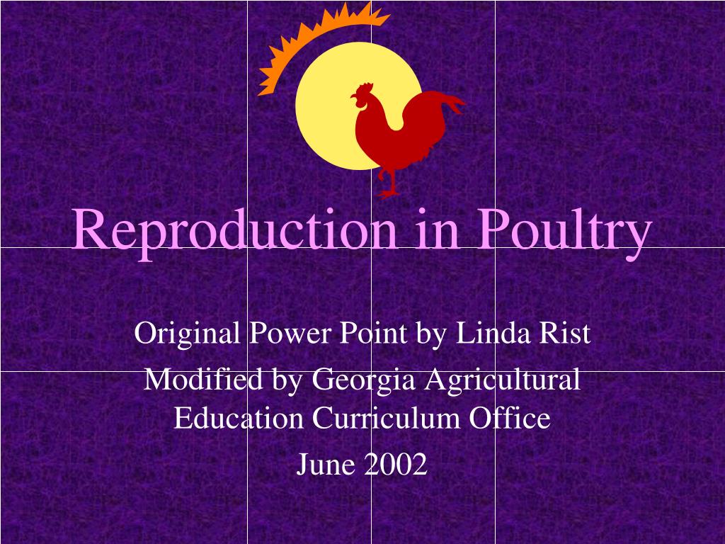 PPT - Reproduction in Poultry PowerPoint Presentation, free download ...